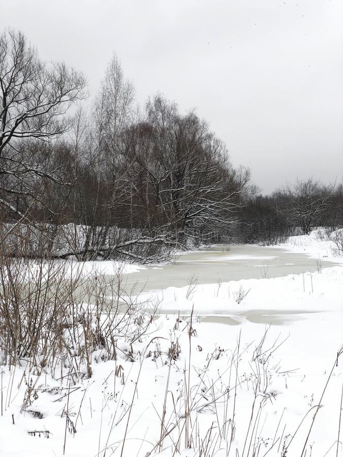 Frozen Riverbed with Snow Covered Surface Winter Landscape Stock Image ...