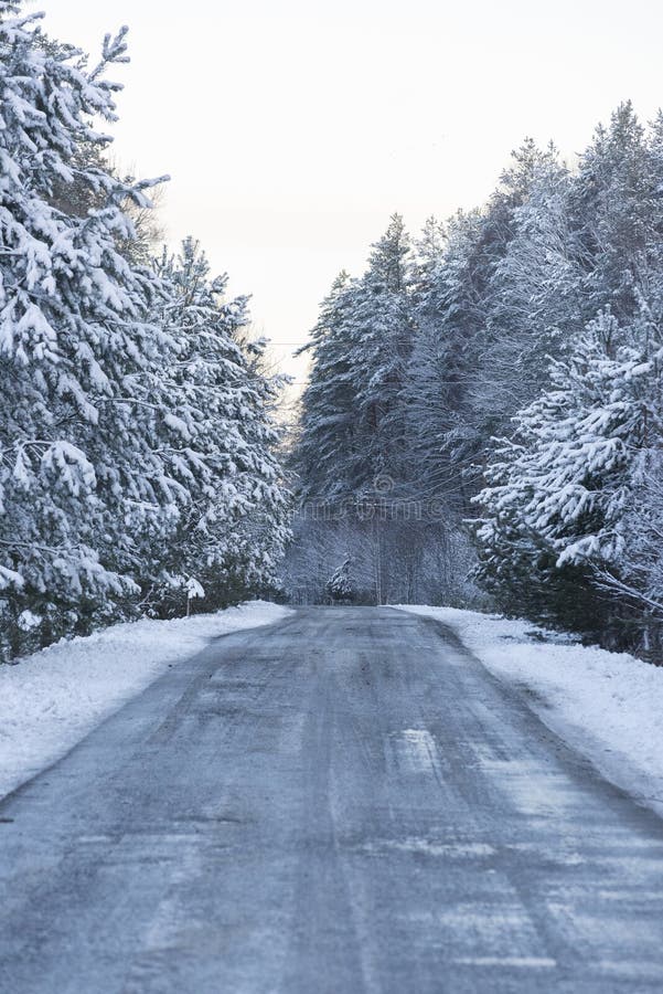 A Frozen Road in a Winter Forest Stock Image - Image of cool, forest ...