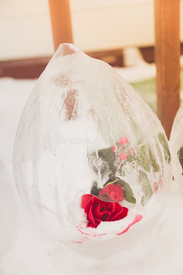 Red Rose Inside Square Shapes Stock Photo - Image of filled, green ...