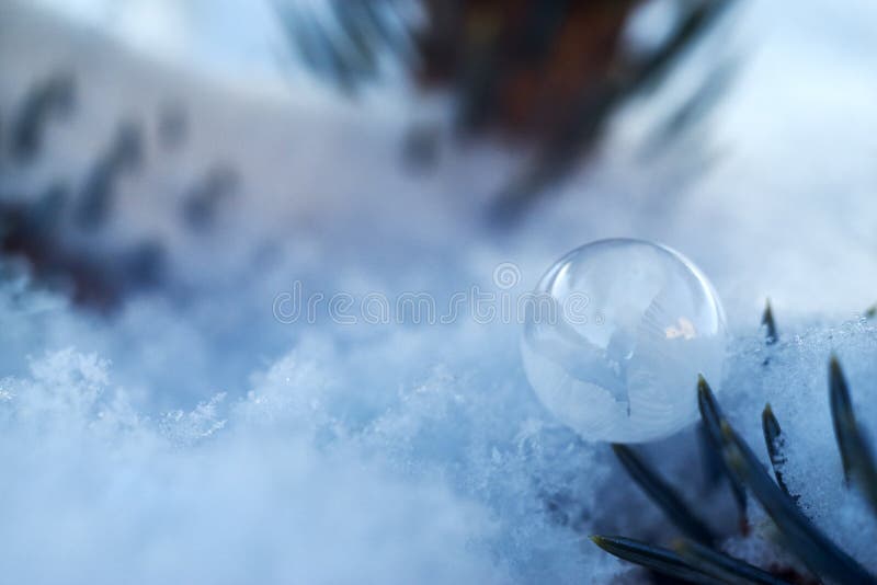 Frozen Round Bubble on a Christmas Tree Branch in the Snow Stock Photo ...