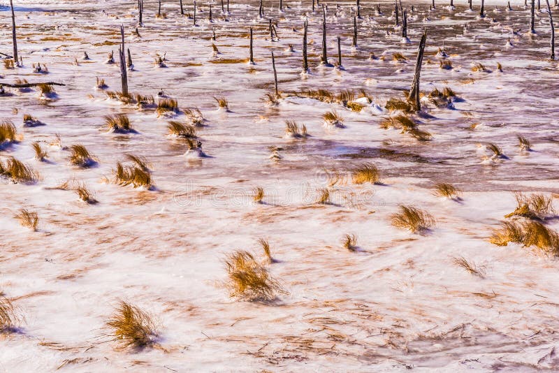 Frozen salt marsh stock photo. Image of salt, marsh - 188073732