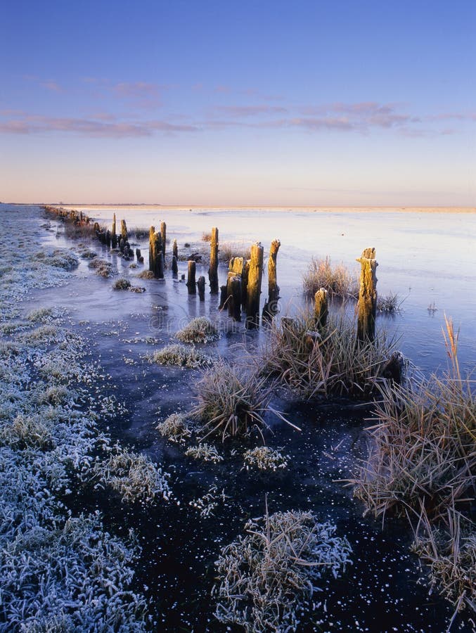 Frozen saltmarsh landscape stock photo. Image of estuary - 23236140