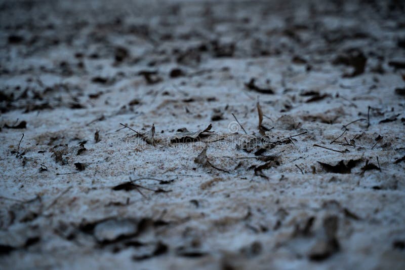 Frozen Sand Under Snow. Textures Abstract Background Stock Image ...