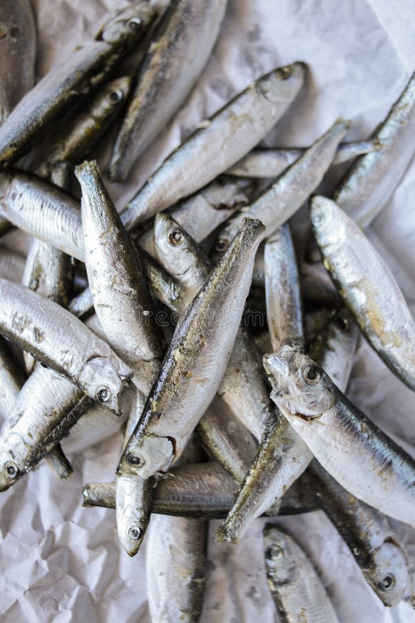 Frozen sardines stock image. Image of nature, sardines - 78011497