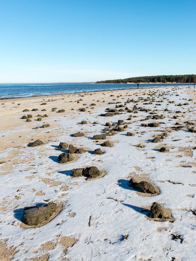 Frozen sea beach stock image. Image of scenic, rock, sand - 50056235