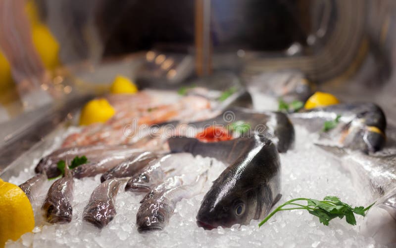 Frozen seafood display stock image. Image of nutrition - 313372275