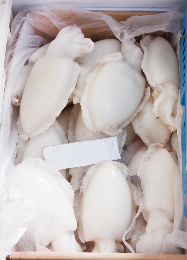 Frozen seafood stock photo. Image of shellfish, fishes - 69965572