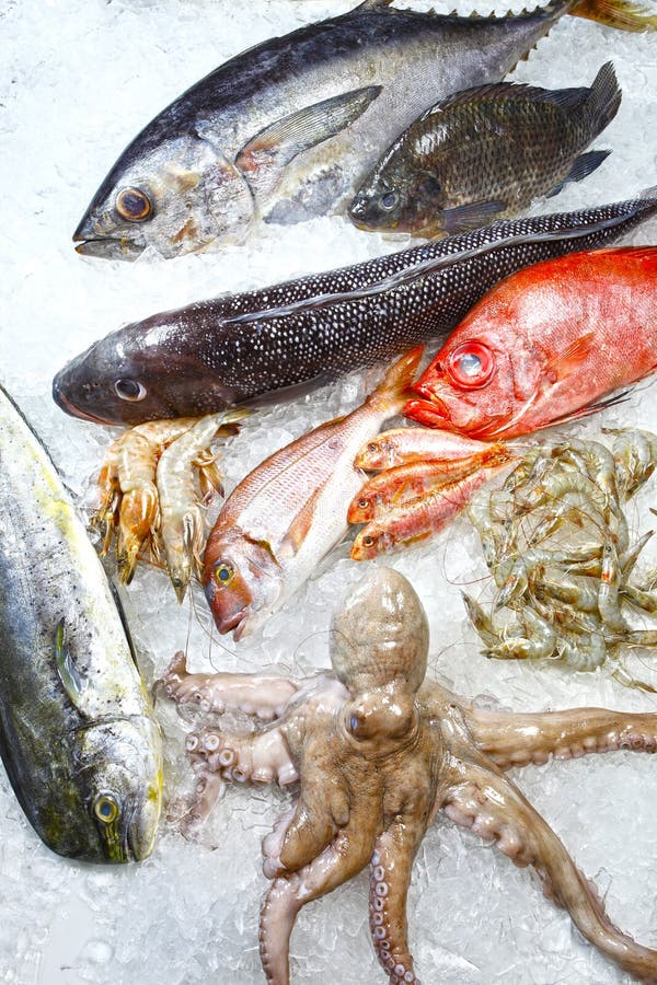 Seafood on Ice at the Fish Market Stock Photo - Image of fishmonger ...