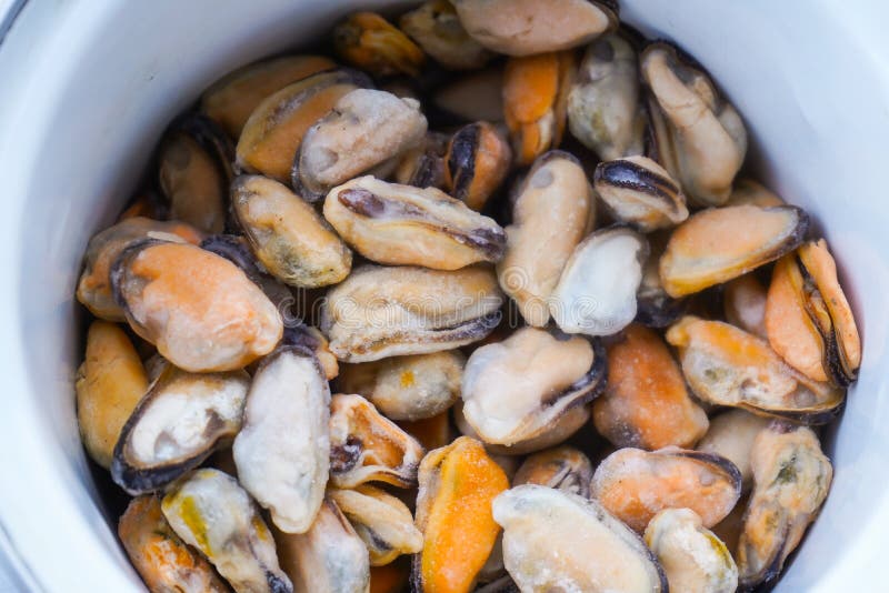 Frozen Shells Ready To Be Cooked. Product Photography. Stock Photo ...