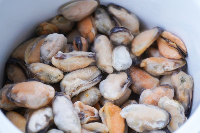 Frozen Shells Ready To Be Cooked. Product Photography. Stock Photo ...