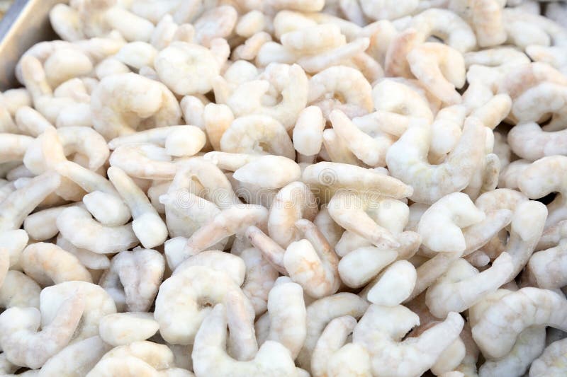 Frozen shrimp meat stock photo. Image of fresh, frozen - 379954210