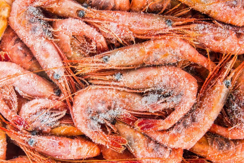 Frozen shrimp packaged stock photo. Image of dietary - 63306694