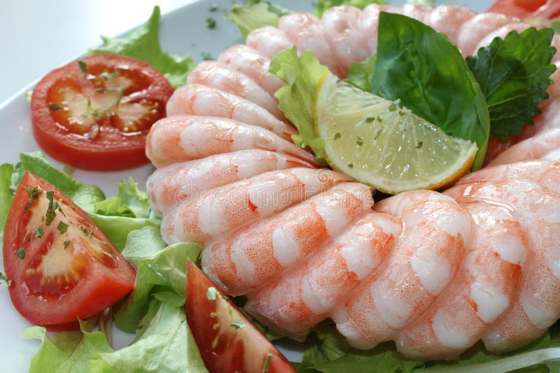 Frozen shrimp ring stock image. Image of seafood, shrimp - 56876605