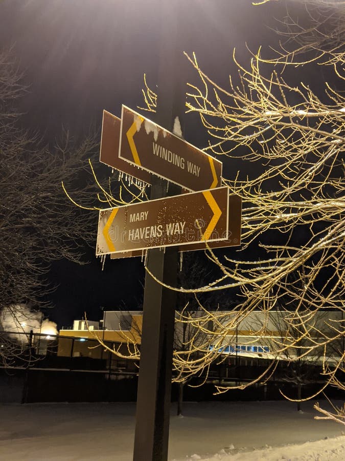 Frozen signs at night stock photo. Image of frozen, campus - 174784300