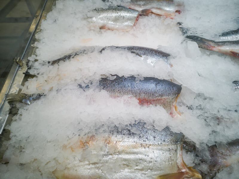 Frozen Slices of Big Fish among Ice in a Hypermarket Stock Image ...