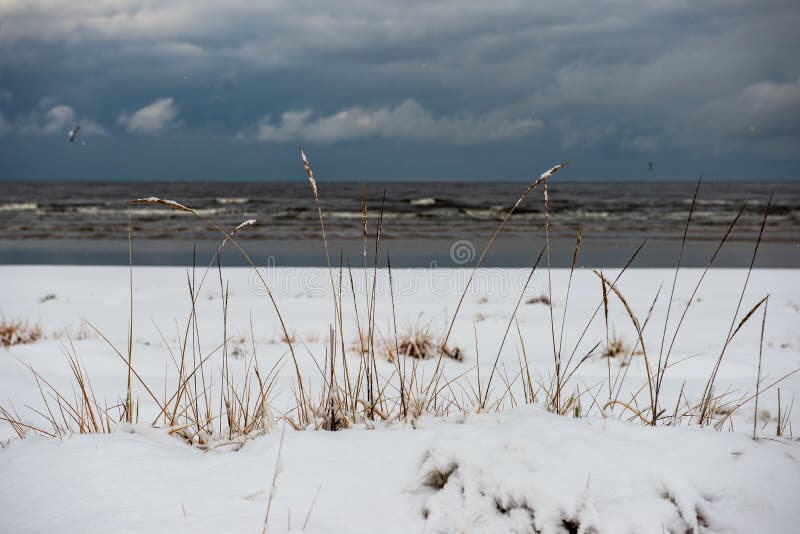 Frozen Snow Covered Beach by the Sea Stock Image - Image of covered ...