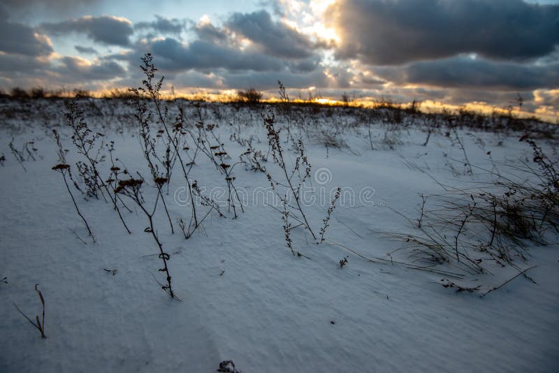 Frozen Snow Covered Beach by the Sea Stock Photo - Image of person ...