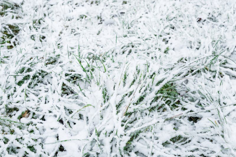 Frozen and snow stock image. Image of natural, snow, blue - 65030869