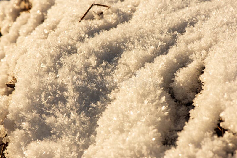 Frozen Snow Flakes Close Up Stock Image - Image of person, flight ...