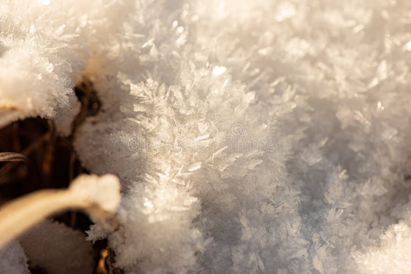 Frozen Snow Flakes Close Up Stock Image - Image of desktop, summer ...