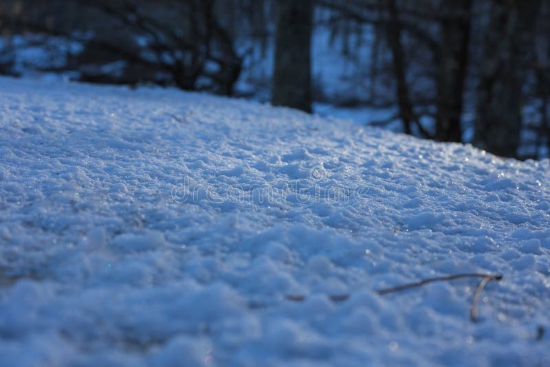 The frozen snow stock image. Image of soft, white, italy - 93202987