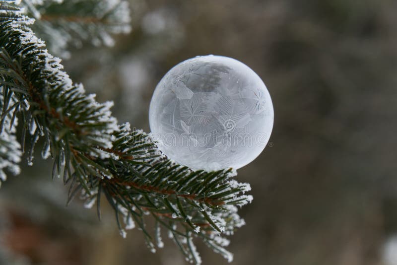 Frozen Soap Bubble on the Christmas Tree. Stock Photo - Image of bright ...