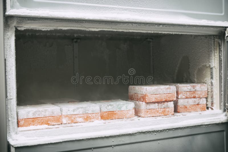 Frozen Specimens Stored at Lab Stock Image - Image of biological ...