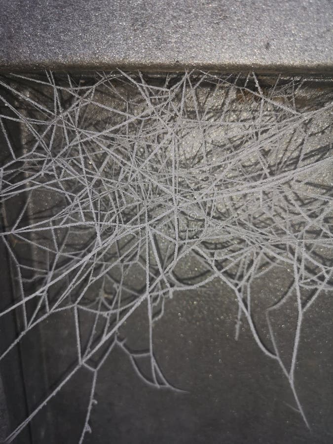 Frozen spiderweb stock photo. Image of frozen, cold, iced - 10023158
