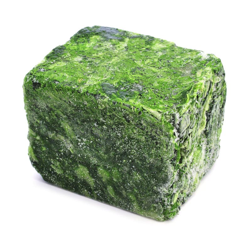 Frozen spinach blocks stock photo. Image of healthy - 143612462