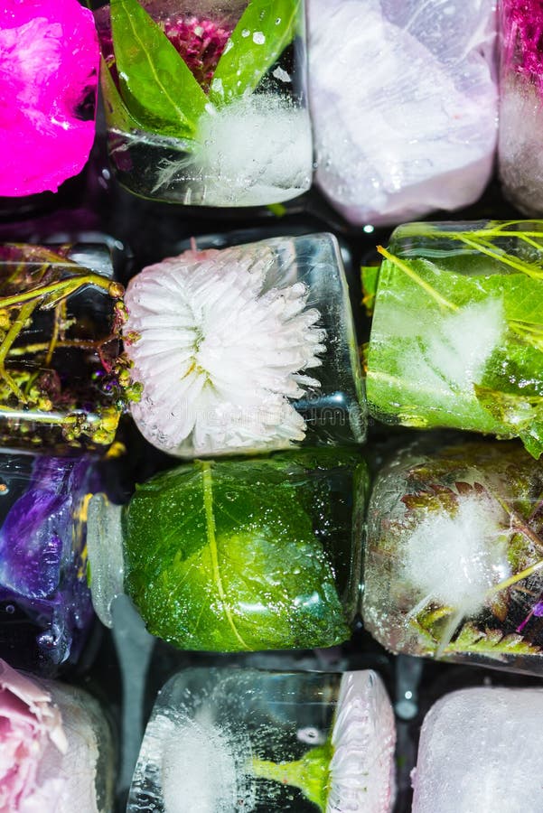 Different Beautiful Frozen Flowers in the Ice Cubes Stock Image - Image ...