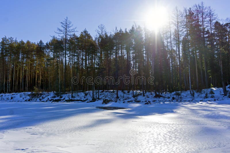 Frozen Spring River with a Forest Shore and a Bright Sun Shining ...