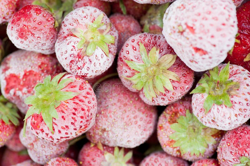 Frozen strawberries stock image. Image of berry, gourmet - 25974183