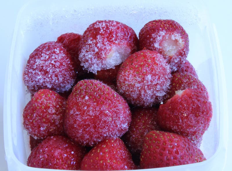 Frozen Strawberries in a Freezer Storage Container Stock Image - Image ...