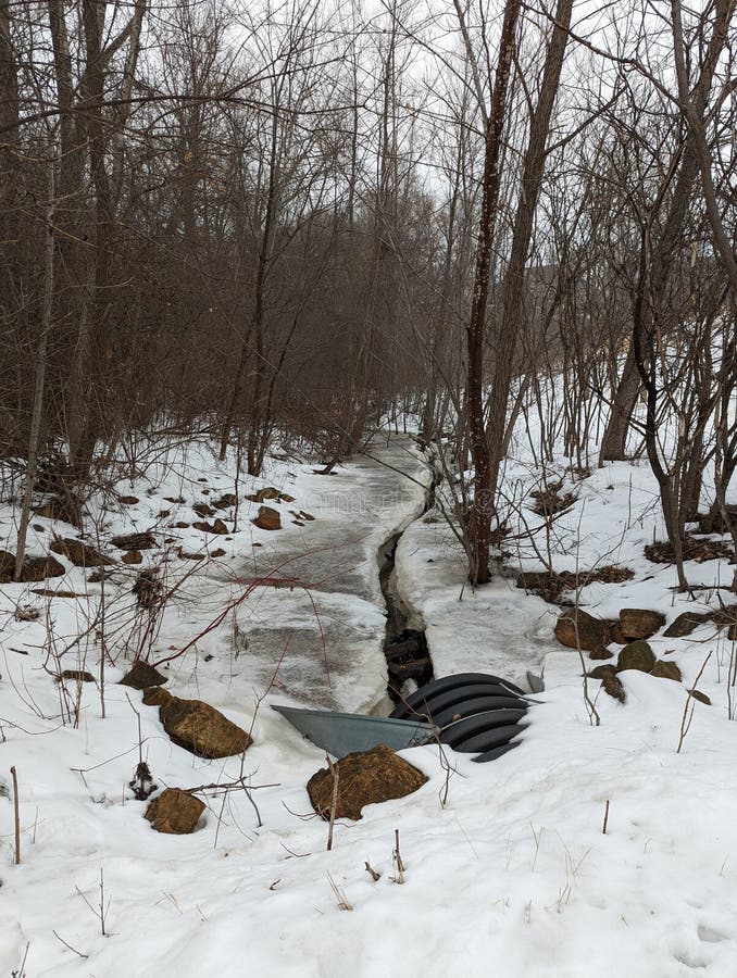 Snow-Covered Forest with a Frozen Stream and Culvert Amidst Bare Winter ...