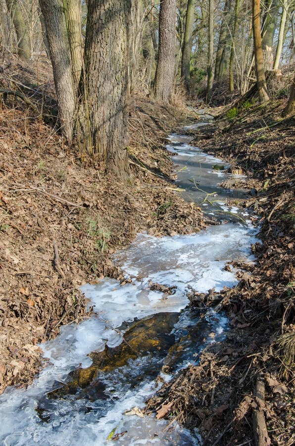 Frozen Stream in the Forest Stock Photo - Image of rural, creek: 112173650