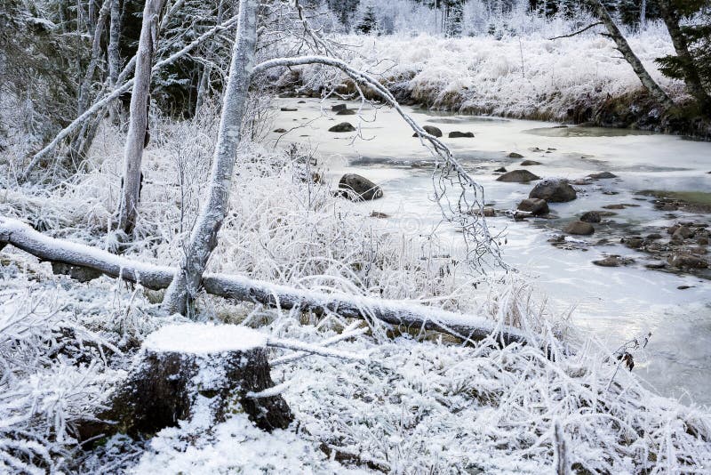 Frozen stream stock image. Image of fall, winter, season - 164145511