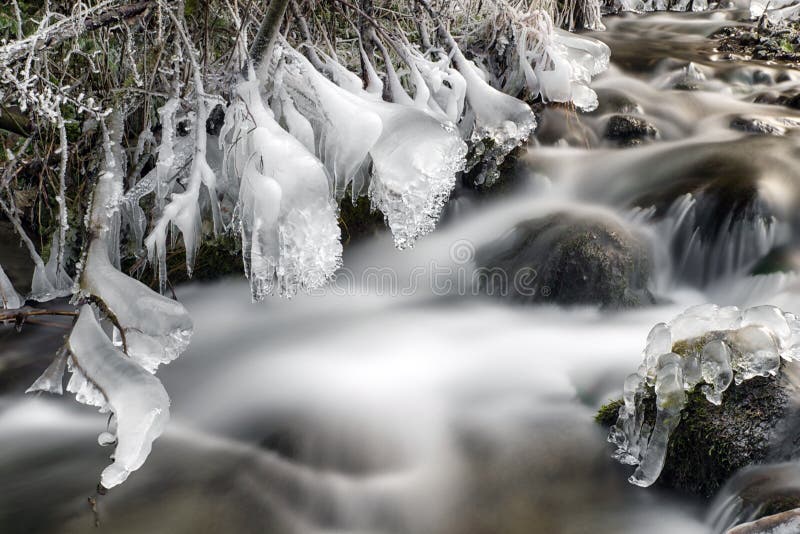 Frozen stream in forest stock photo. Image of stream - 84341890