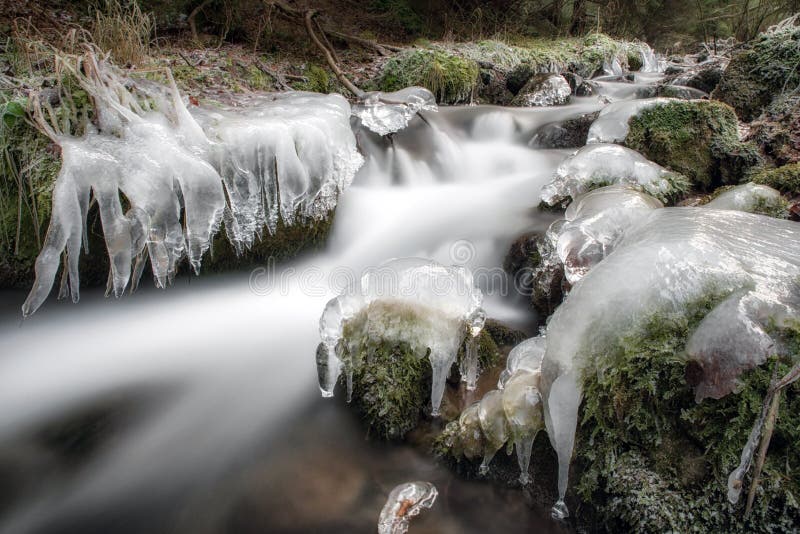 Frozen stream in forest stock image. Image of filter - 84342031