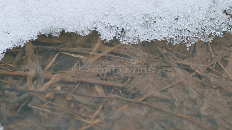 Frozen Stream with Ice. Creek Freezing in Winter. Flow of Melt Water ...