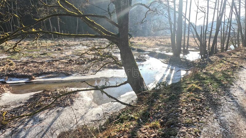 Frozen Stream with Ice Floes and Water Stock Footage - Video of hoarfrost, scenics: 306433228