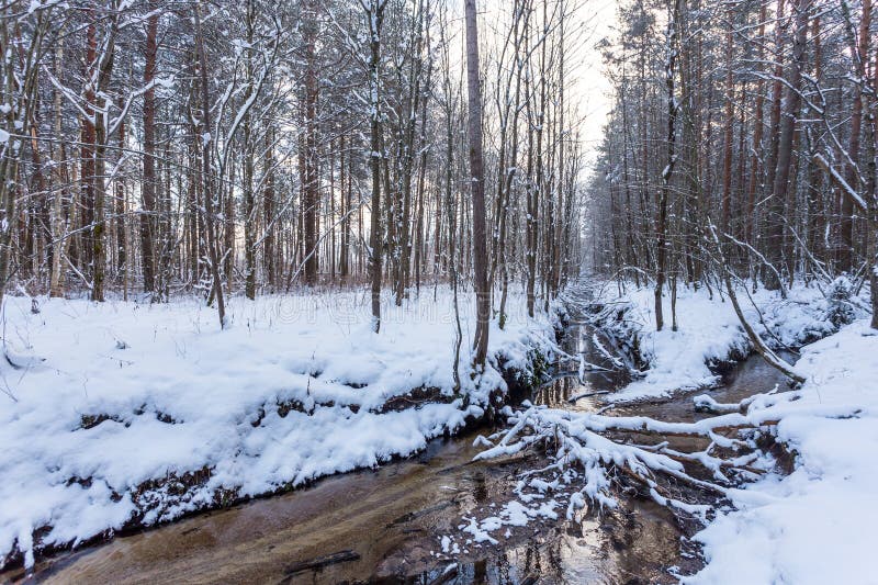 Frozen Stream in Winter Forest Stock Photo - Image of view, people ...