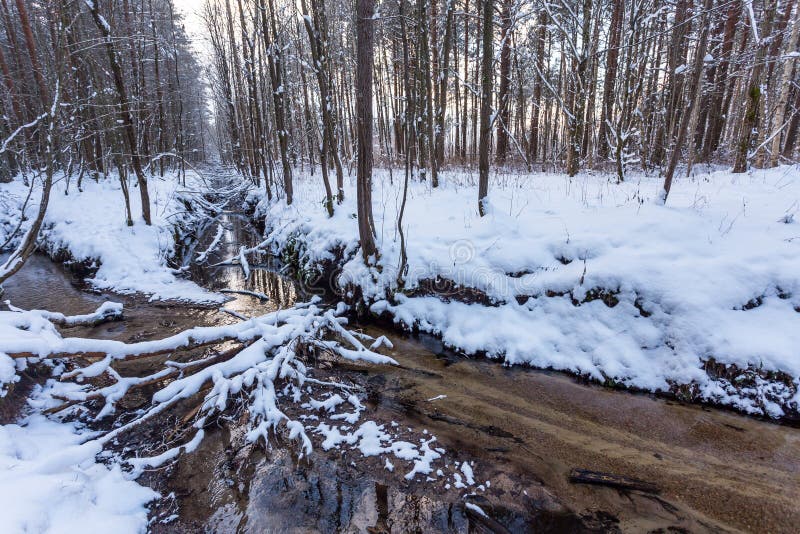 Frozen Stream in Winter Forest Stock Image - Image of scandinavia ...