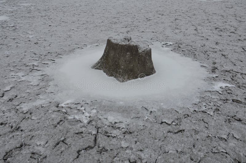 Frozen stump stock image. Image of stump, snow, frozen - 66471869