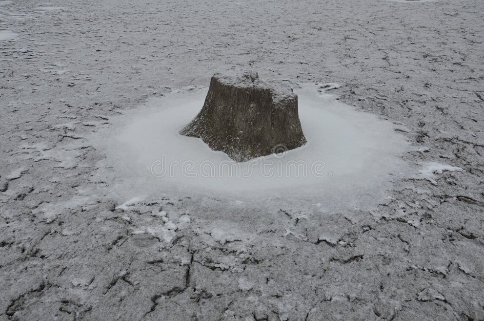 Frozen stump stock image. Image of stump, snow, frozen - 66471869