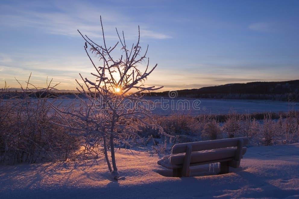 FROZEN: sunset stock photo. Image of spruce, patch, frozen - 433582