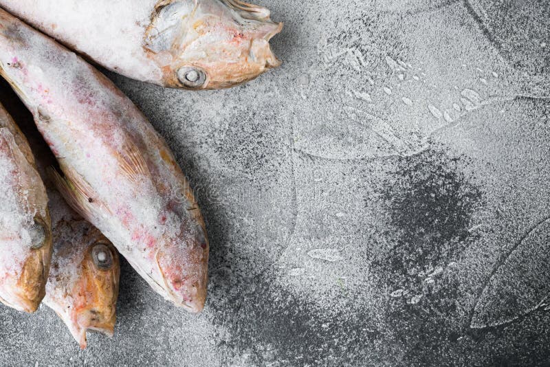 Frozen Surmullet Fish, on Gray Stone Table Background, Top View Flat ...