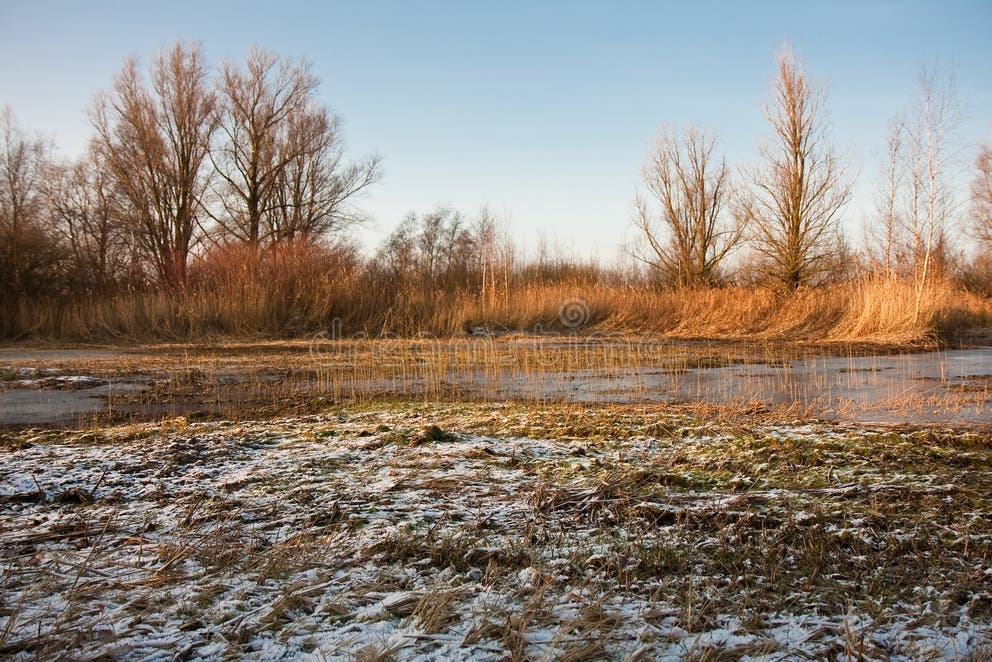Frozen Swamp in the Netherlands Stock Photo - Image of cloud, calm ...