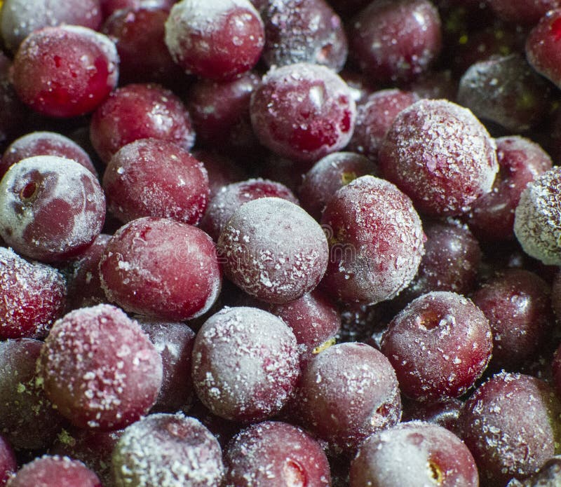 Frozen Sweet Cherry Close Up Stock Photo - Image of juicy, fresh: 258339578