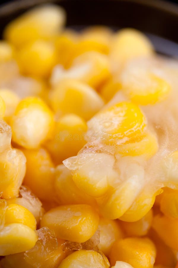 Frozen sweet corn stock photo. Image of bowl, frozen - 22475424