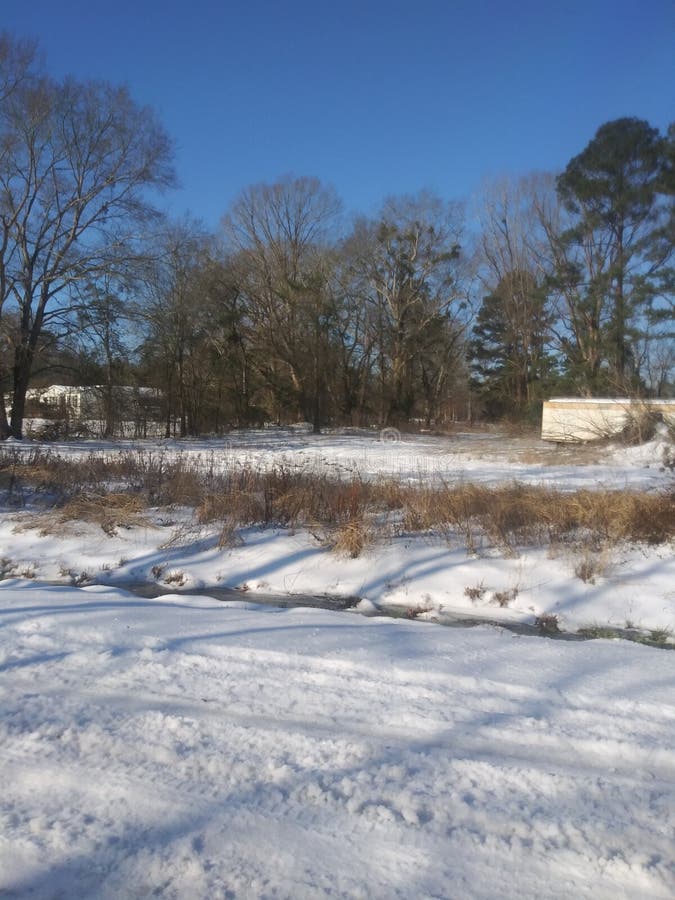 Frozen in texas stock photo. Image of frost, texas, frozen - 232669264